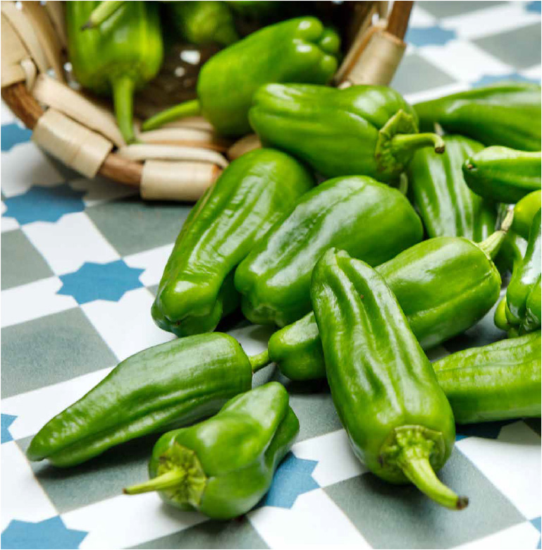 Index of /media/wholesale/map-images/