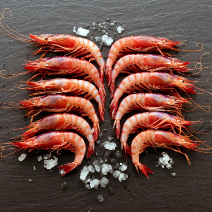 Gamba Roja Red Prawns | Spanish Foods | Basco Fine Foods